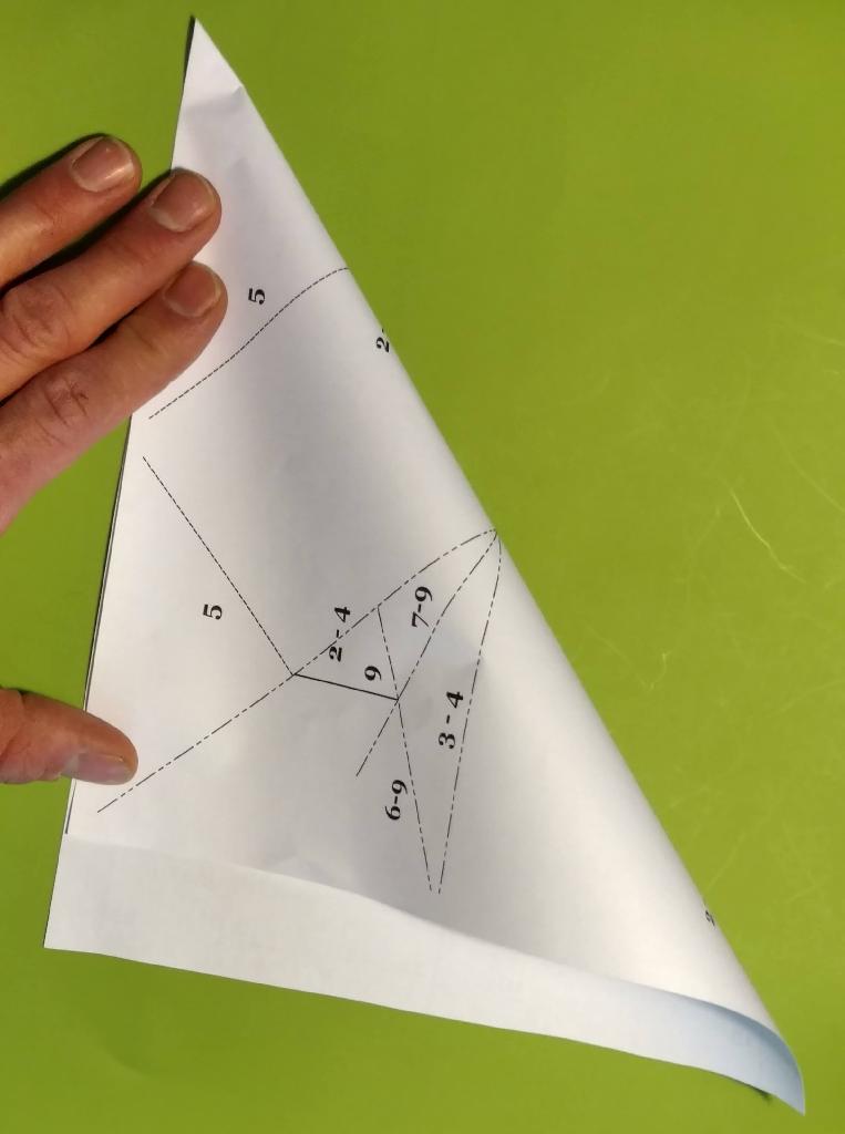 Sting Ray Paper Airplane – HobbyCaptain.com